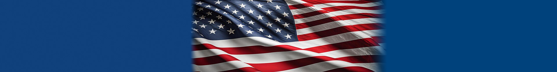 Veteran Information Technology Solutions – Providing cutting-edge IT ...